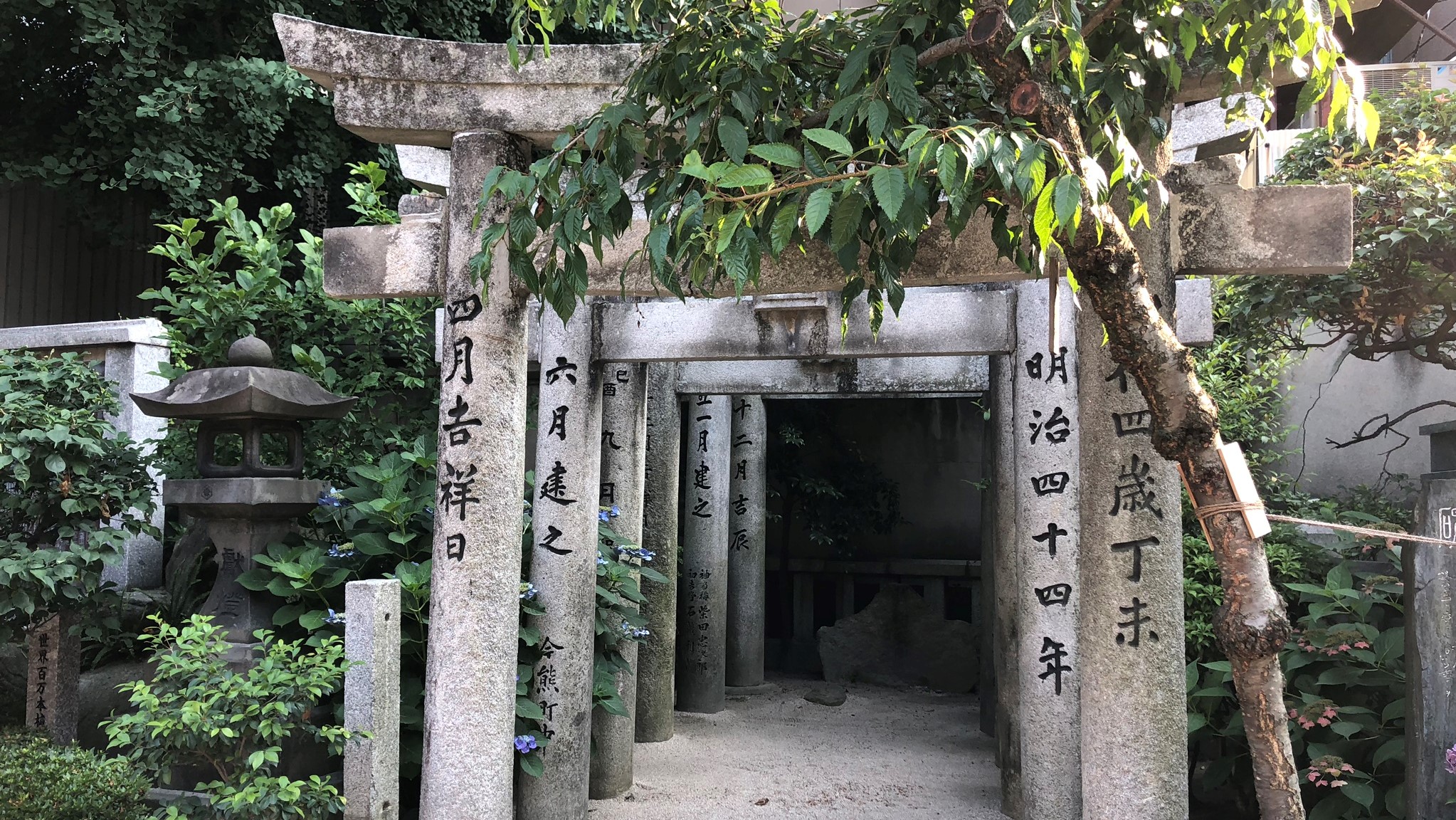 Terris Ng's Website | Gallery page